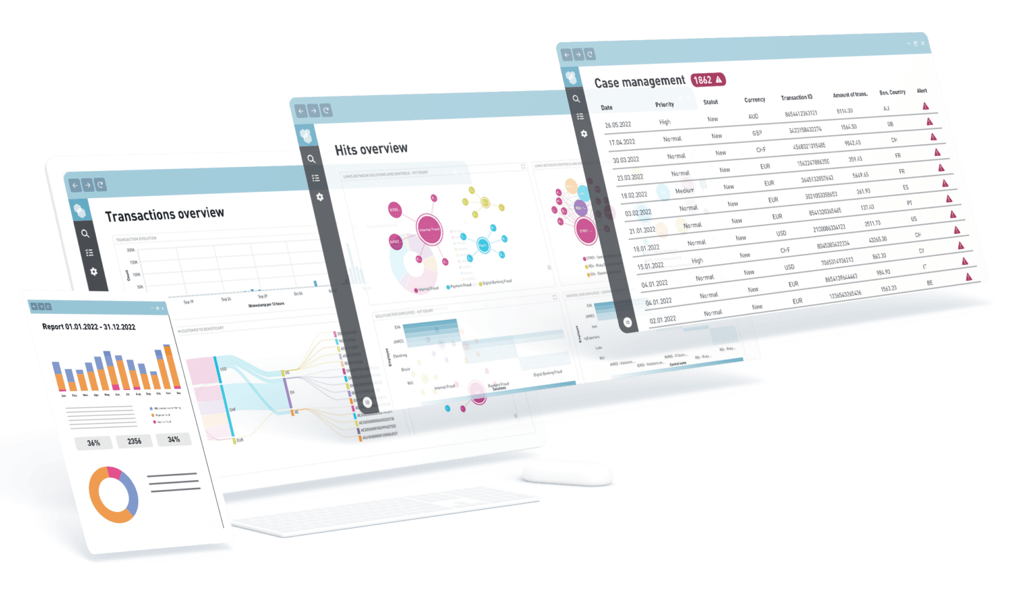 Aml Transaction Monitoring Netguardians